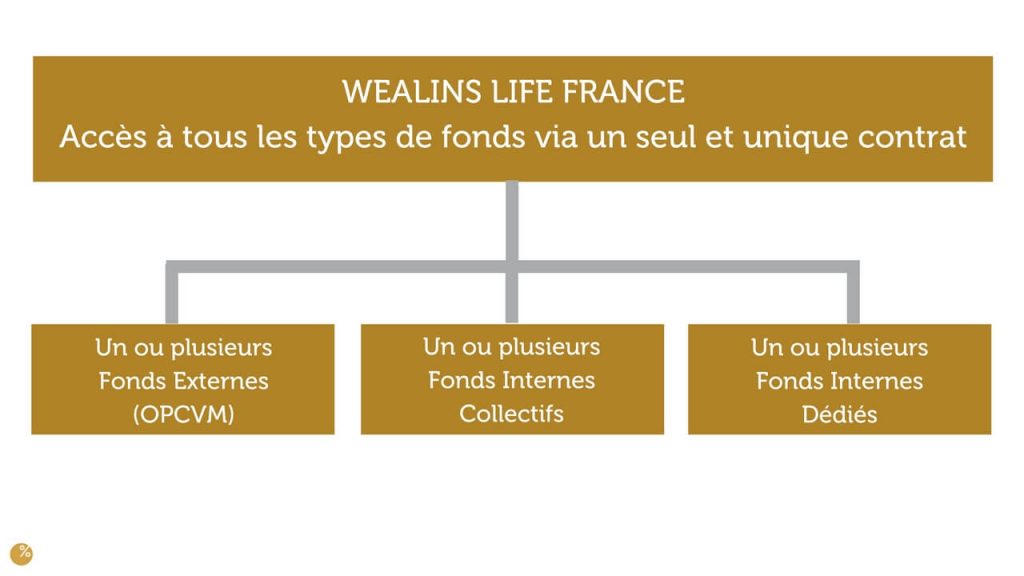 Wealins Life France - Contrat d'Assurance-vie Luxembourgeois ...